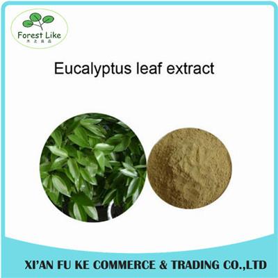 China Pure Natural Eucalyptus Leaf Extract Powder 10:1 20:1 for sale