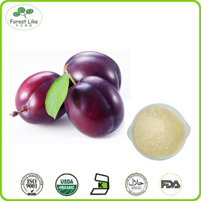 China Hot Selling Product Plum Fruit Juice Powder for sale