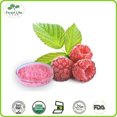 China High quality natural raspberry fruit extract powder for sale