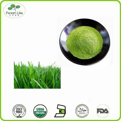 China High Quality Barley Grass Powder for sale