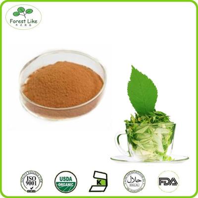 China Organic Natural Green Tea Extract 98% Tea Polyphenol for sale