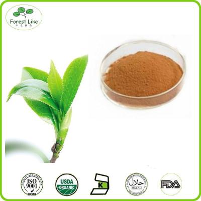 China Health Product Green Tea Extract 98%Tea Polyphenol for sale