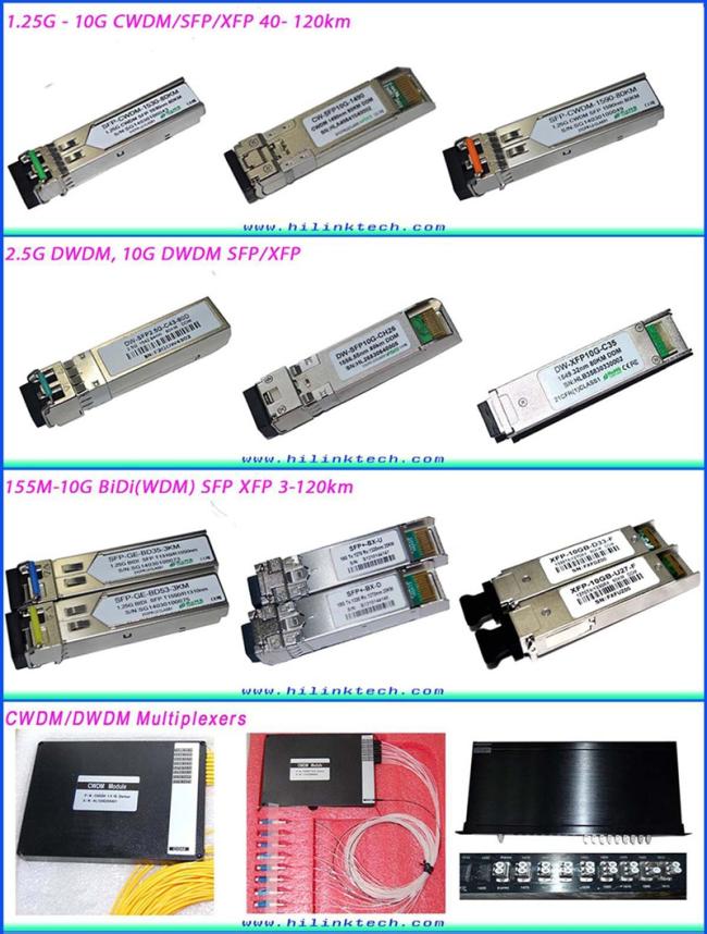 Our Main Products.jpg