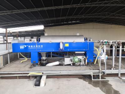 중국 ​제로 데드 앵글 원심분리기 설계: 입자 침전을 방지하고 완전한 위생을 보장합니다. 판매용