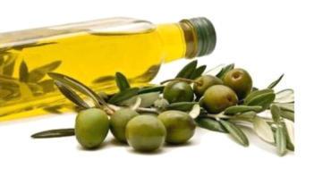 China Procesamiento de aceite de palma a gran escala: 5050 × 1285 × 1550 mm en venta