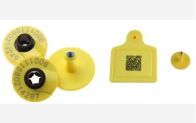 China Passive LF HF Air RFID Animal Ear Tag UHF Cattle Tags ISO15693 for sale