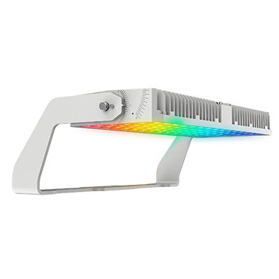 China LED Sports Field Lights AC180-528V Input Voltage and 9°/13°/18°/55°/Asymmetric 45/60N/60M Beam Angle for Performance for sale