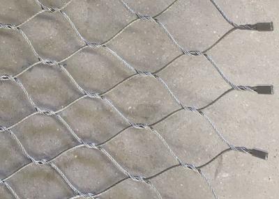 Китай 316 x клонит сетка веревочки провода нержавеющей стали для анти- понижаясь 50x50 MM продается