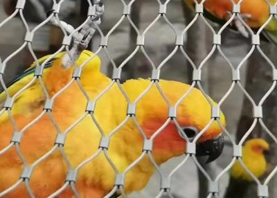 China Pajarera de acero inoxidable flexible Mesh For Bird Netting 2,0 agujero del alambre 50x50 milímetros del milímetro en venta