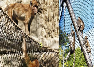 China empaquetado de acero inoxidable de la caja del cartón de la armadura de tela cruzada de la red del pájaro del diámetro de alambre de 1.5m m en venta