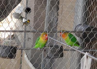 China Red de aviario ligera de alambre de plata con apertura de 30 mm x 30 mm en venta