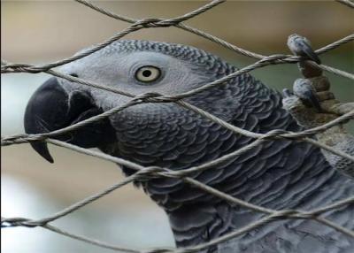 中国 SS316 7*7 ブラックオキシドステンレス鋼線ロープ網 動物園用 販売のため