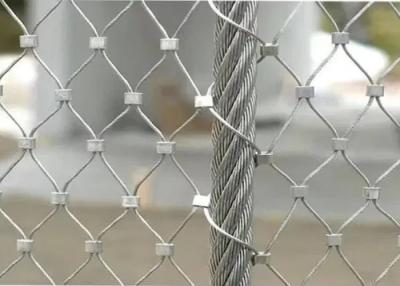 中国 ステンレス鋼のワイヤーケーブルネット ギボン囲い網 販売のため