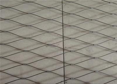 中国 鳥の雨林網のためのステンレス鋼動物園のワイヤ網 販売のため