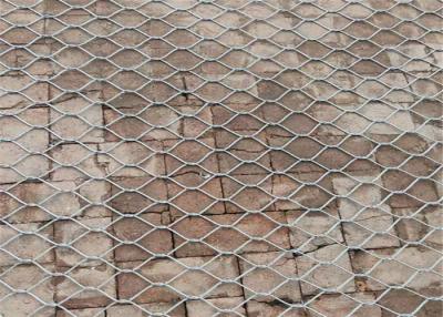 China Bird Rain Forest Stainless Steel Zoo Wire Mesh Custom Width for sale