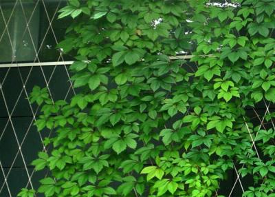 Cina Il traliccio amichevole eco- della parete del cavo del giardino inanellato/ha annodato la maglia corrosiva anti- in vendita