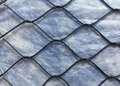 China 1.2mm 25mm de malla tamaño del ojo Inox negro óxido aviario red en venta