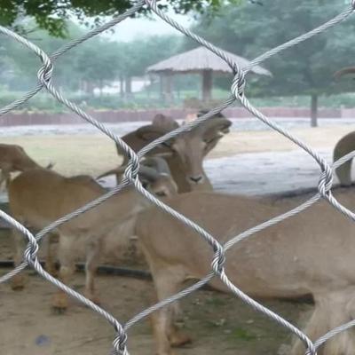 中国 動物園の横線用ワイヤーメッシュ 動物飼育用 90度角 販売のため