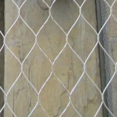 中国 Ss 316 ステンレス鋼のロープ網網 販売のため