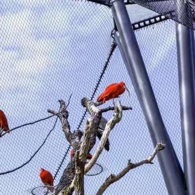 中国 建築 装飾 登り網 ケーブル 囲み 動物園 メッシュ 織物 鉄筋 7x19 販売のため