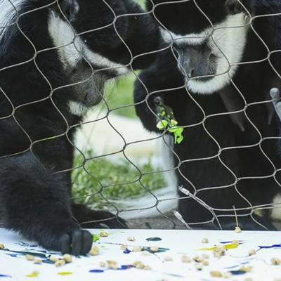 中国 3mmロープワイヤーメッシュ 動物園のための保護ケージ 庭園の安全 屋外フェンス 販売のため