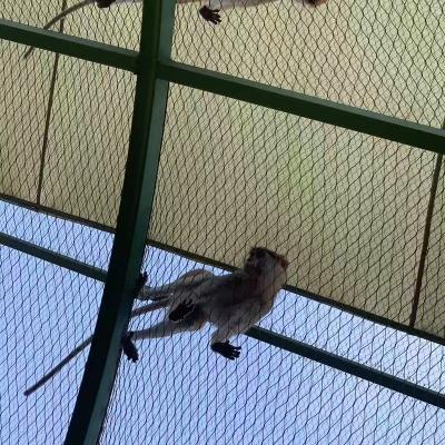 China Malla de alambre tejido de acero inoxidable para aviario de aves, zoológico, cerramiento y protección de taludes en venta