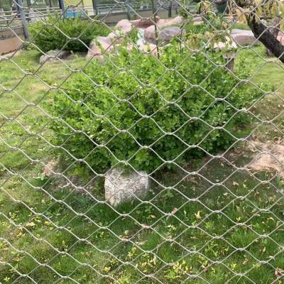 China Malla de cable de acero inoxidable con férula/hebilla SUS 304 316 tejida para protección de aviarios en venta