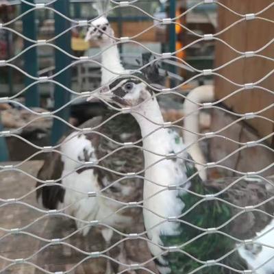 China 316 Edelstahl-Flexibles Kabelnetz für Vogelhäuser zu verkaufen