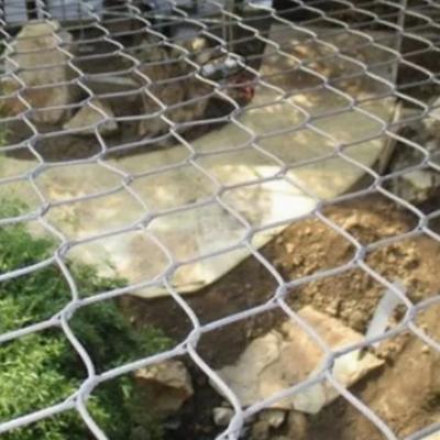 China 1.5mm with hole size 30mm  Aviary Wire Netting Excellent Corrosion Resistance for sale