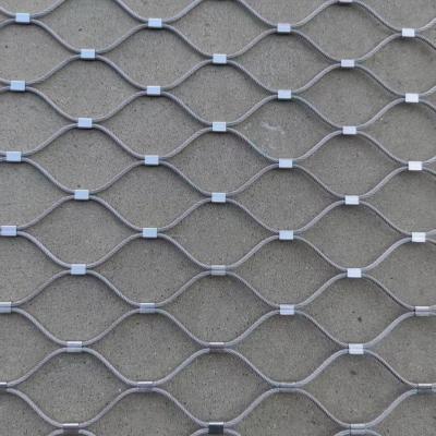 China High Light-Transmission Ornamental Bird Cage Mesh Stainless Steel Rope for sale