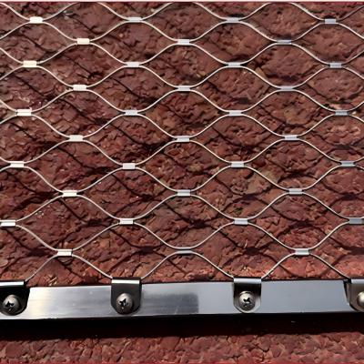 China Corrosion Resistant Wire Rope Mesh Galvanized Steel Durable Protective Netting for sale