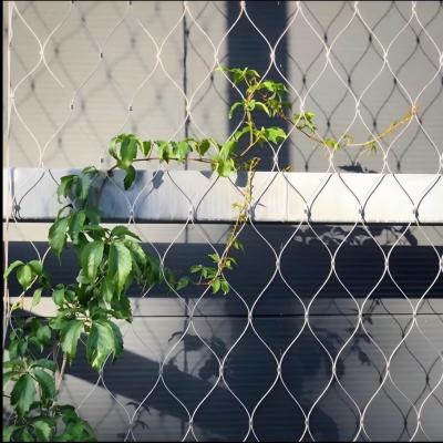 China Ferrule Type Stainless Steel Rope Net For Green Plants Climbing for sale