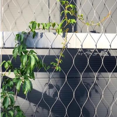 China Diamond-shaped Hole Corrosion Resistant Customizable Size Wire Rope Plant Trellis Stainless Steel Cable Mesh for sale