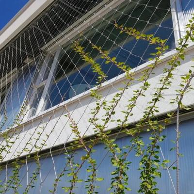 China Custom Size Corrosion Resistant Stainless Steel Wire Rope Plant Trellis for Fall Prevention and Vertical Green Walls for sale