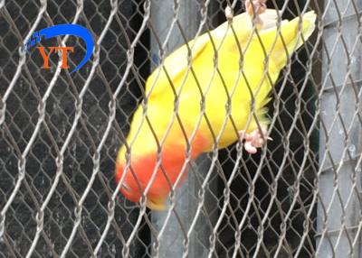 China Tela metálica flexible de la pajarera del pájaro 7x7 del acero inoxidable para el recinto del parque zoológico en venta