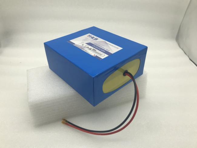 LiFePO4 battery pack side view