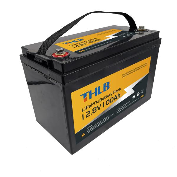 Quality THLB 12V Lithium Battery 12.8V 25.6V 48V Lifepo4 Battery For Electric Scooter for sale