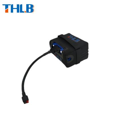 China Customized 10Ah 24v Golf Cart Battery LiFePO4 24v Golf trolley Battery pack for sale