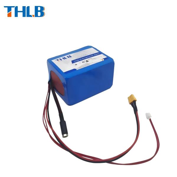 Quality High-Value, Customizable-Capacity Lithium Batteries For Trackers—Direct From A Chinese Factory for sale