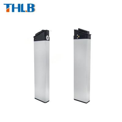 China Folding Electric Bicycle Battery Lithium Iron Phosphate 10ah 36v 48v Rechargeable for sale