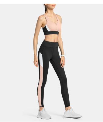 China Sia gamba sexy con Mesh Fitness Leggings for sale