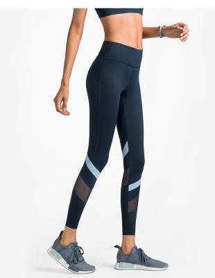 China Il modo Mesh Splicing Collision Color Tight misura le ghette for sale
