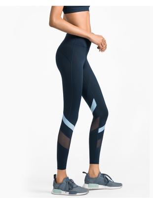 Cina Il modo Mesh Splicing Collision Color Tight misura le ghette in vendita