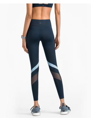 Cina Il modo Mesh Splicing Collision Color Tight misura le ghette in vendita