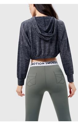 Cina Maglia con cappuccio superiore della manica di BSCI del raccolto lungo sexy del pullover/maglietta felpata potata del pullover in vendita
