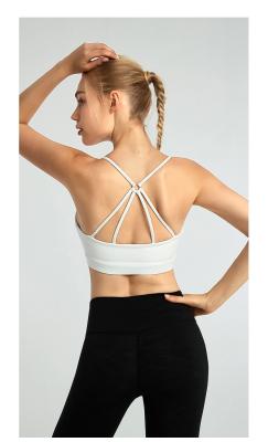 Cina le cinghie leganti del reggiseno degli sport delle donne di Paded di resistenza all'usura indietro in vendita