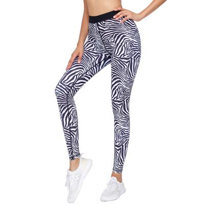 Cina La forma fisica del leopardo delle ghette dell'yoga delle donne della banda elastica ansima su ordine in vendita