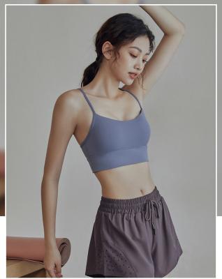 Cina Umidità che wicking la cima di nuotata del reggiseno degli sport delle donne di XS-5XL sexy meno progettazione posteriore in vendita