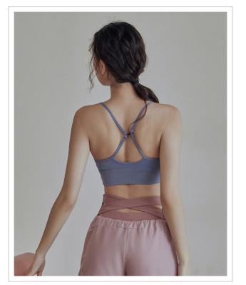 Cina Umidità che wicking la cima di nuotata del reggiseno degli sport delle donne di XS-5XL sexy meno progettazione posteriore in vendita