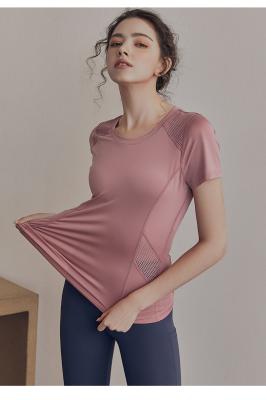 Cina Gli sport delle signore del ODM dell'OEM portano la maglietta rosa di Mesh Splice Womens Exercise in vendita